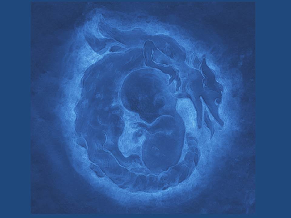 first-dragon – The Portal of Creation
